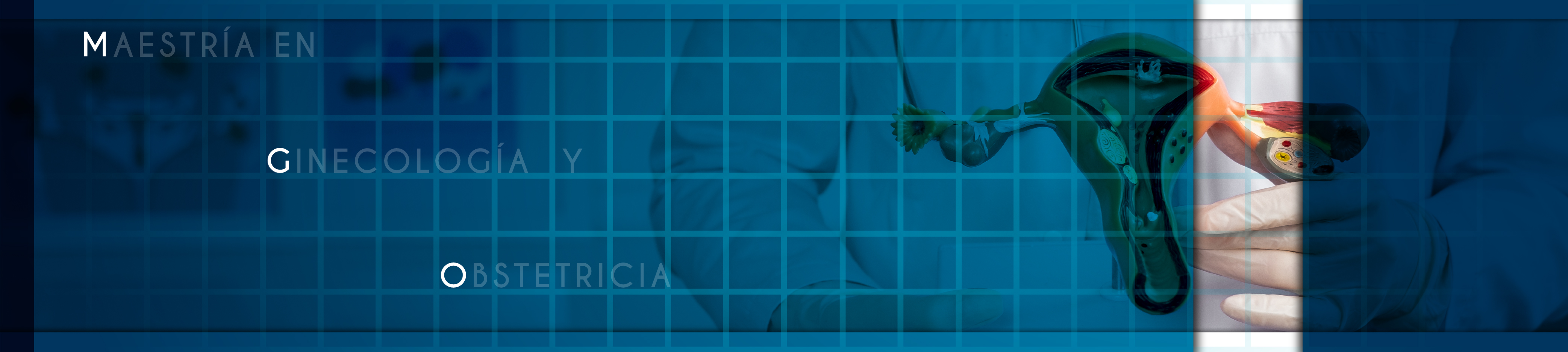 DESAD: Módulo 1 MGO | DESAD